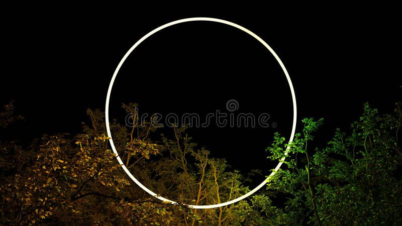 Luminous Circle Ring in Foliage of Tree Branches on Black Background ...