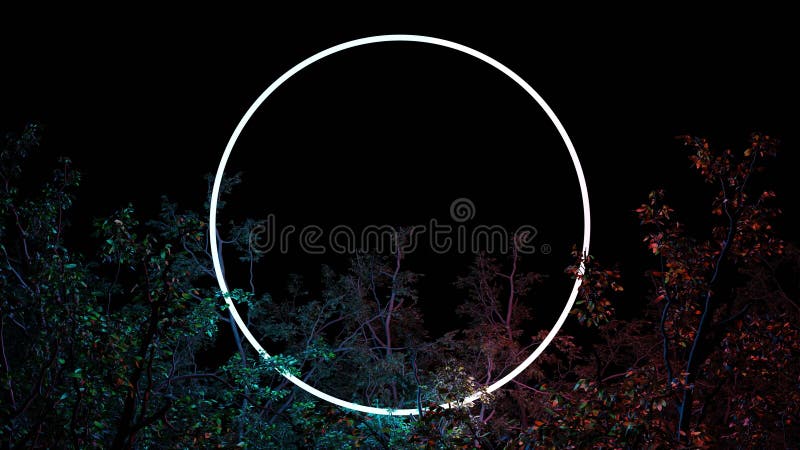 Luminous Circle Ring in Foliage of Tree Branches on Black Background ...