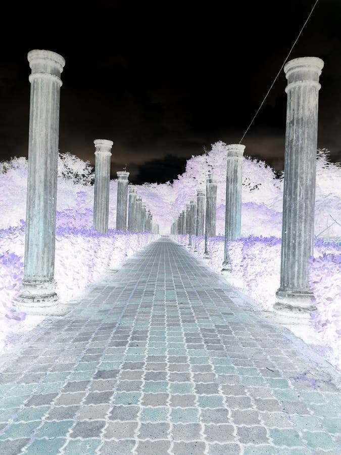 Luminous garden stock image. Image of beautiful, night - 155172135