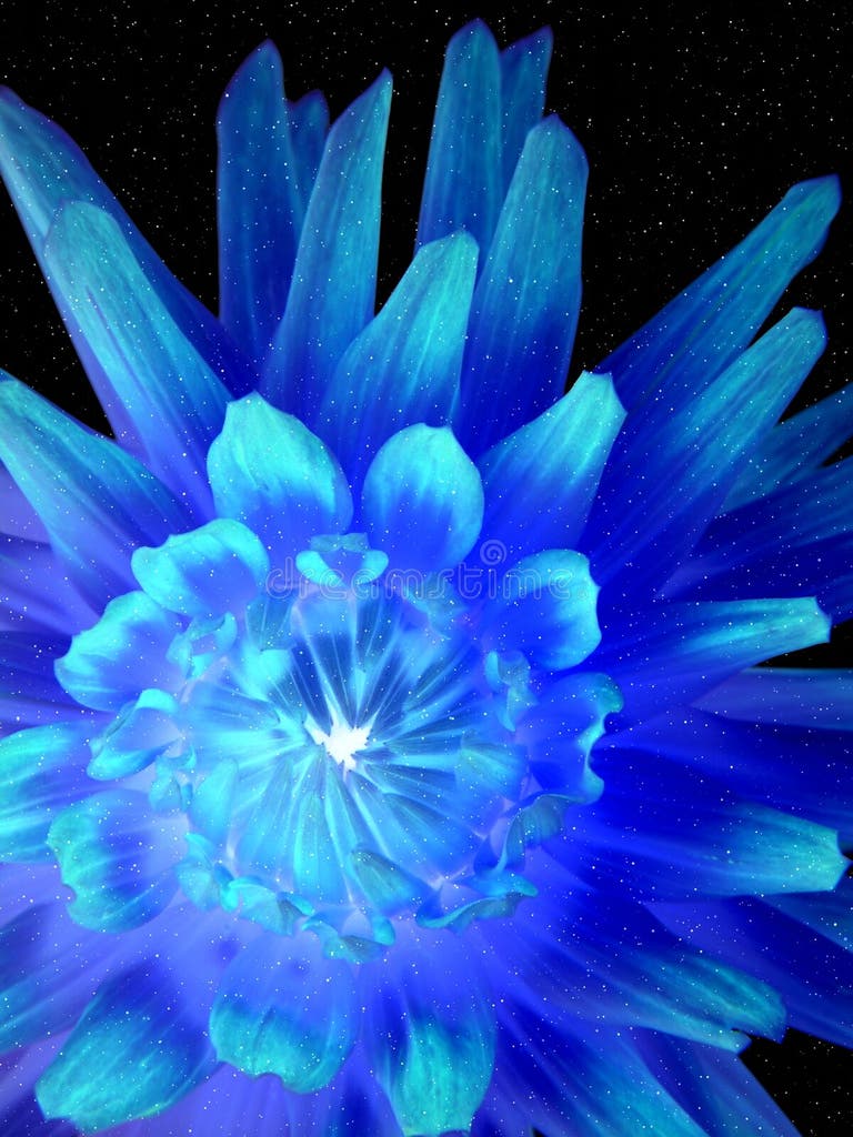 2,451 Blue Luminous Flower Stock Photos - Free & Royalty-Free Stock ...