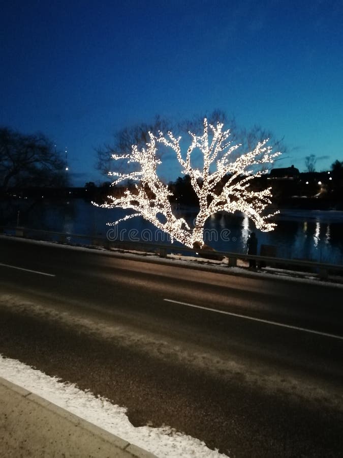 The luminous tree stock photo. Image of luminous, night - 164448886