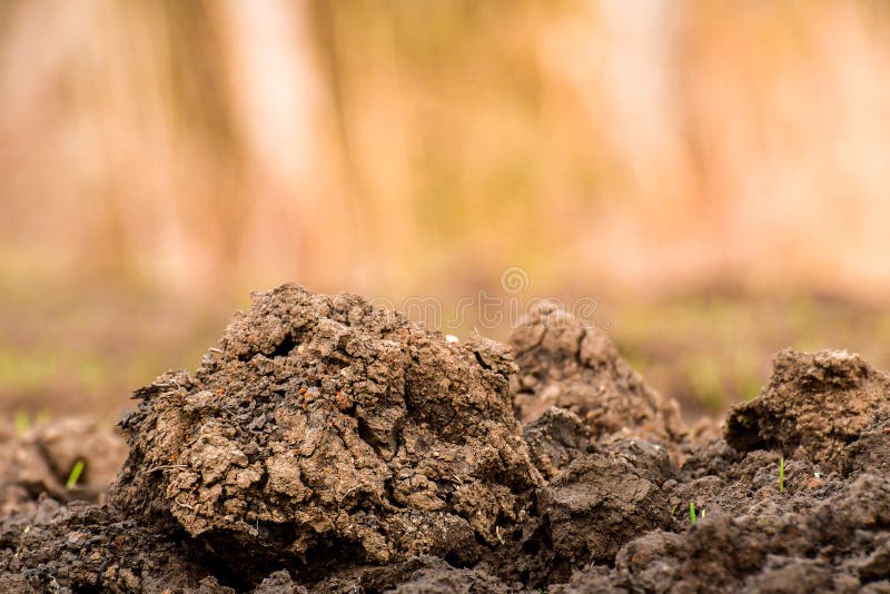 285 Lump Mud Stock Photos - Free & Royalty-Free Stock Photos from ...
