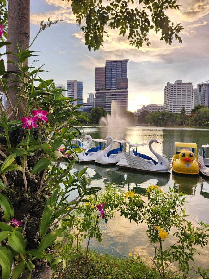 Lumpini Lake Park in Bangkok, Thailand Editorial Stock Photo - Image of ...
