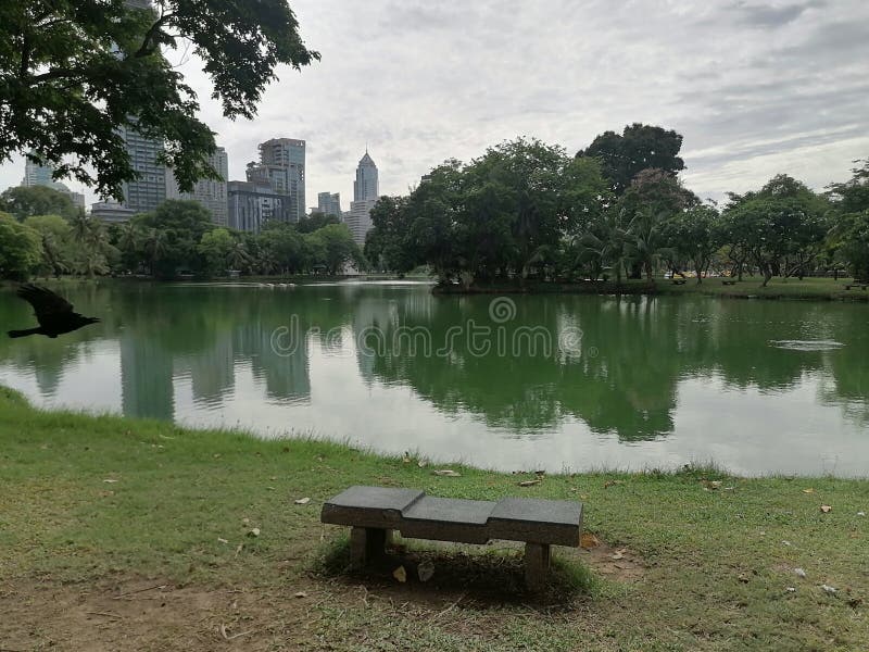 Lumpini Park Pond stock photo. Image of grass, water - 282120922