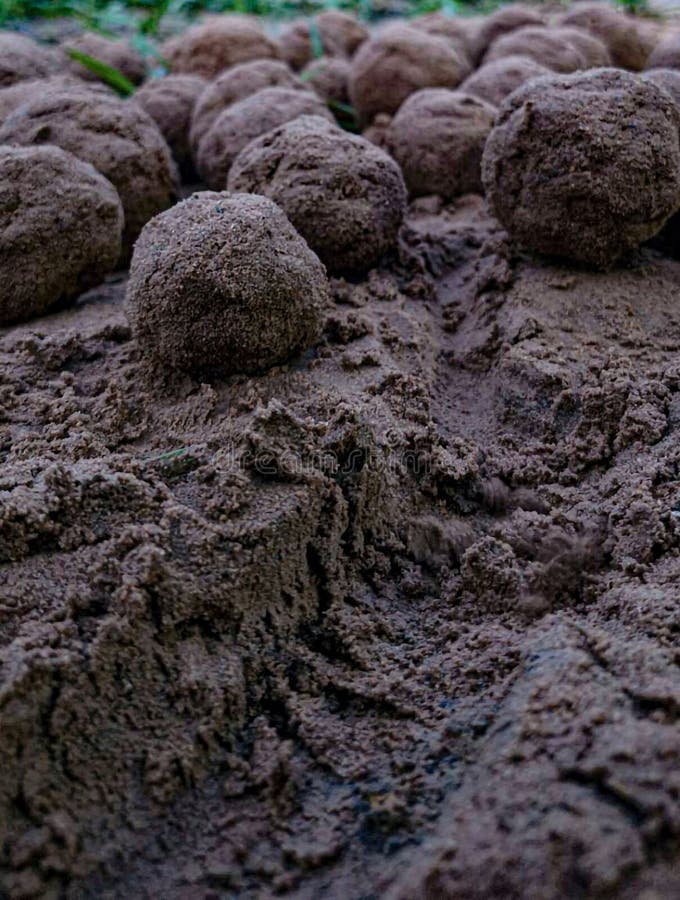 Lumps of Clay, Stones, Clay, Sand, Ground Stock Photo - Image of plant ...