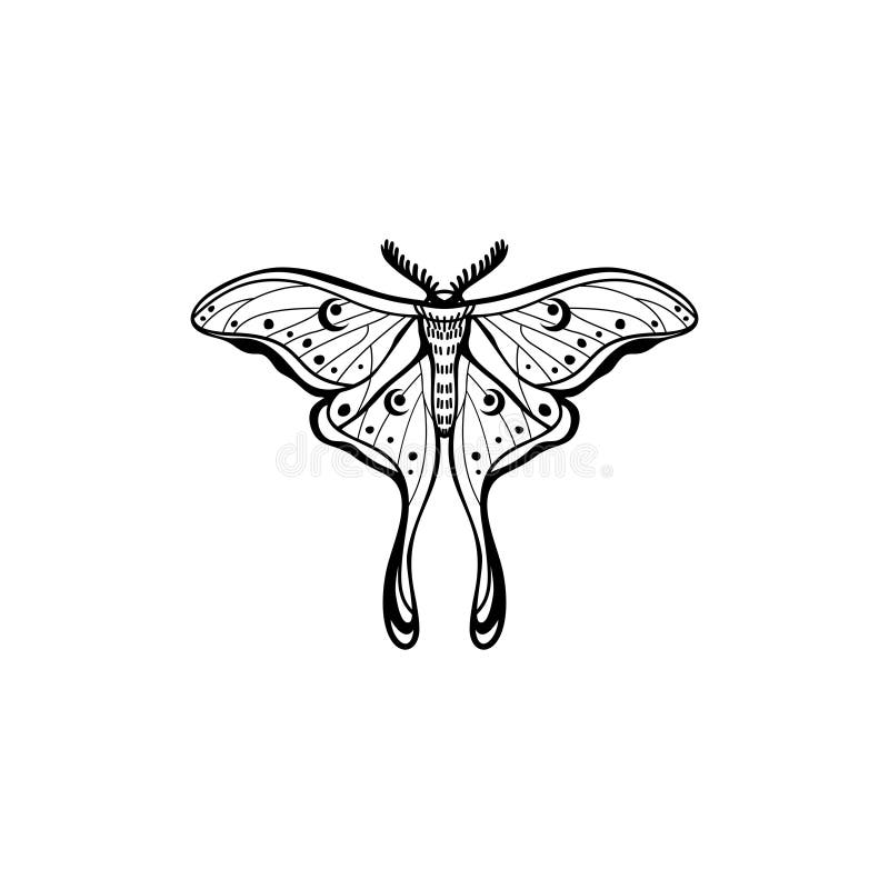 Luna Moth with Lilith S Symbol on Her Wings. Luna Moth, Moon Moth Stock ...
