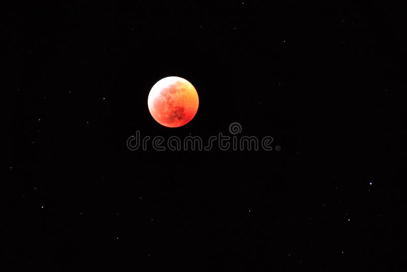 Lunar Eclipse Total Wolf Supermoon Stock Photo - Image of astronomy ...