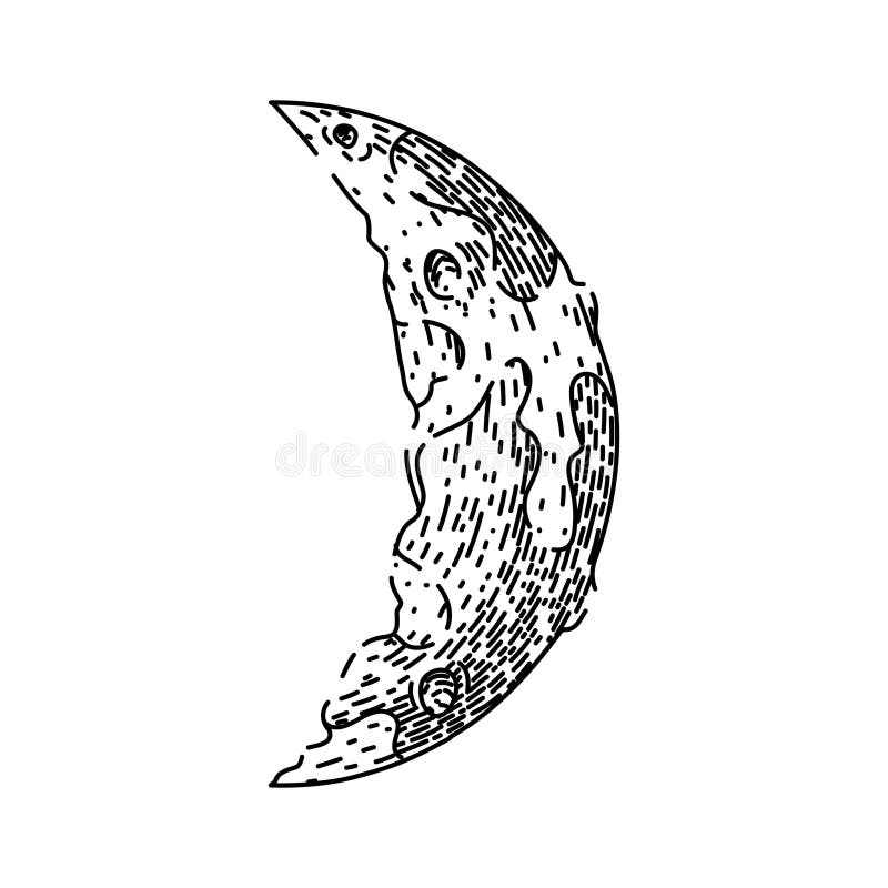 Lunar Moon Sketch Hand Drawn Vector Stock Illustration Illustration Of Craters Eclipse 331597808