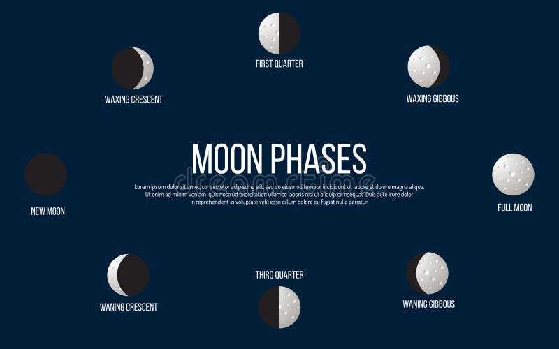 Lunar Phases from New Moon To Full Stock Vector - Illustration of full ...