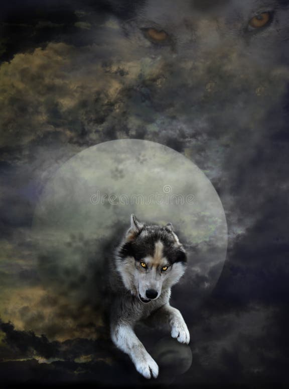 Lunar wolf stock photo. Image of eyes, strong, threatening - 95507274