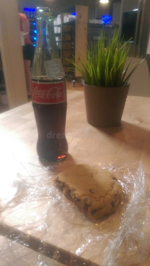 Lunch break editorial image. Image of lunch, coca, cola - 54291830
