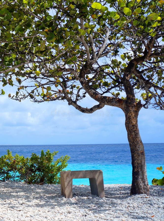 Lunch break stock image. Image of antilles, netherland - 31165109