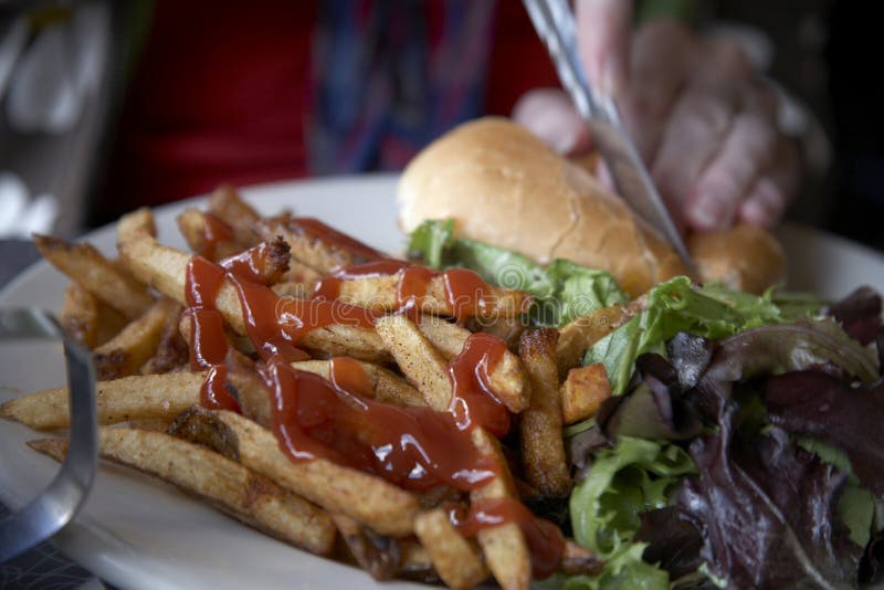 Lunch Fries stock image. Image of food, dinner, diner - 13137579