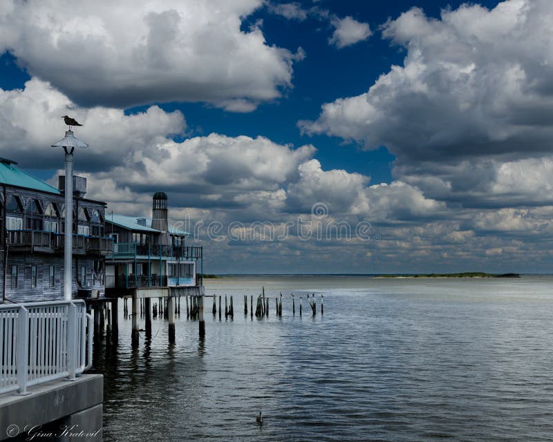 Lunch by the Ocean stock photo. Image of beach, lunch - 79016198