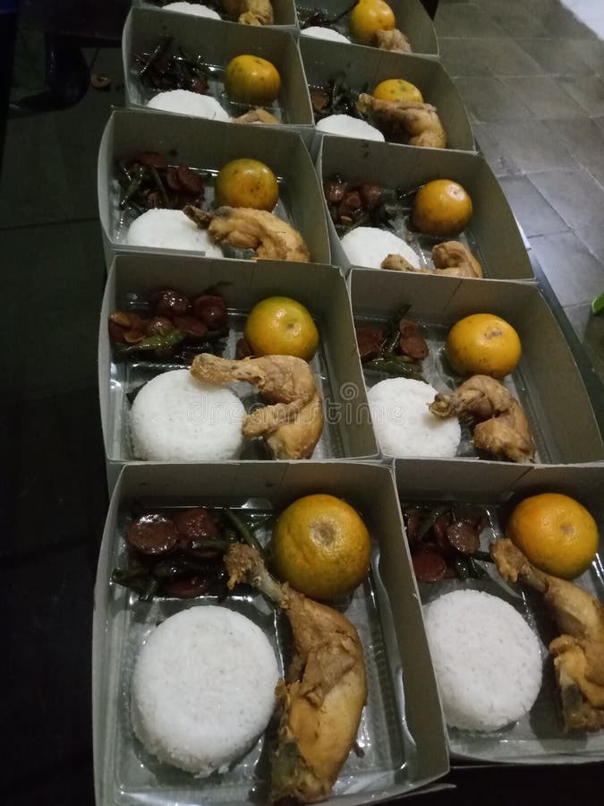 Lunch Package in the Form of Vegetables, Fish and Side Dishes Stock ...