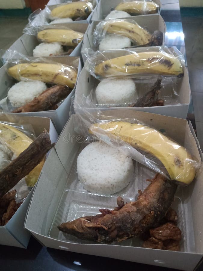 Lunch Package in the Form of Vegetables, Fish and Side Dishes Stock ...