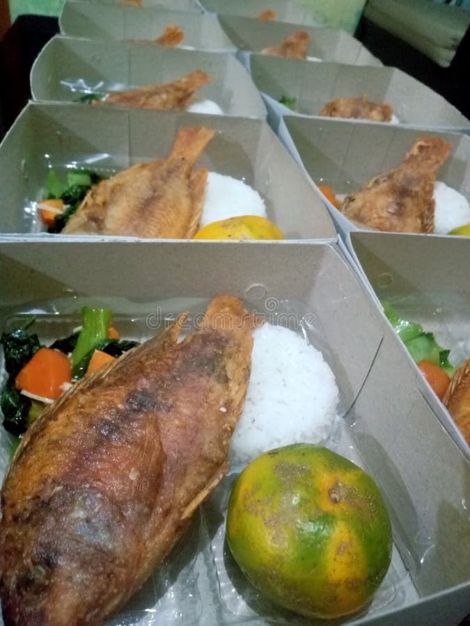 Lunch Package in the Form of Vegetables, Fish and Side Dishes Stock ...