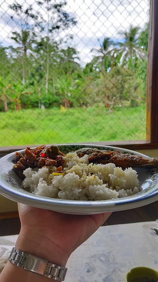 Lunch with Rice, Fish, and Beautiful Scenery Stock Image - Image of ...