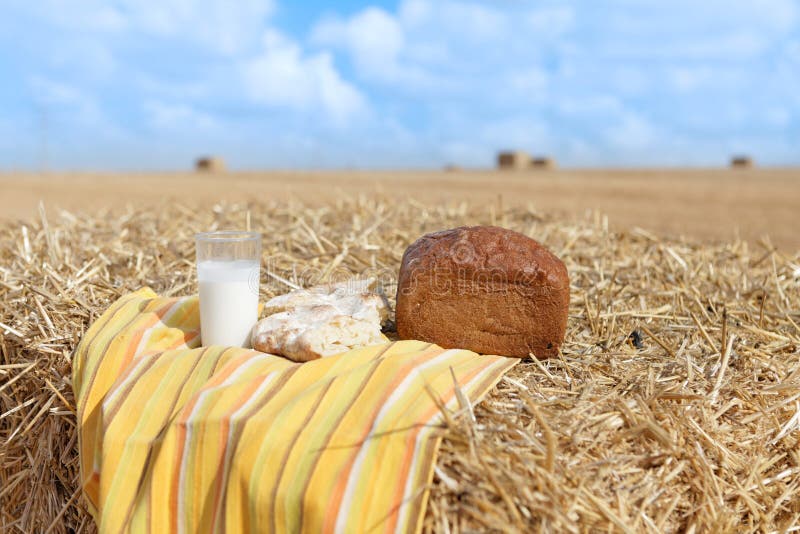 Lunch rural stock photo. Image of meadow, life, milk - 26622484