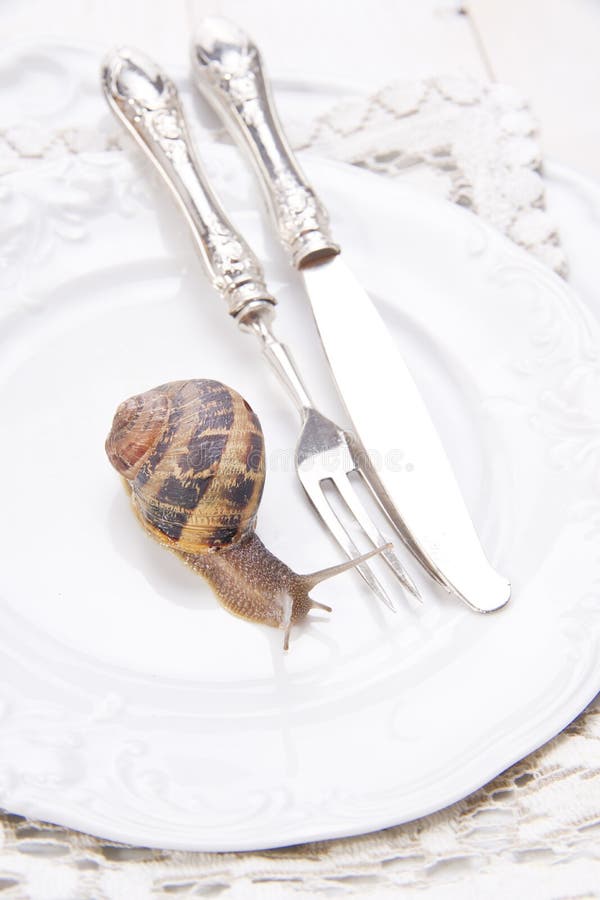 Lunch of Snails stock image. Image of cooking, traditional - 31104123