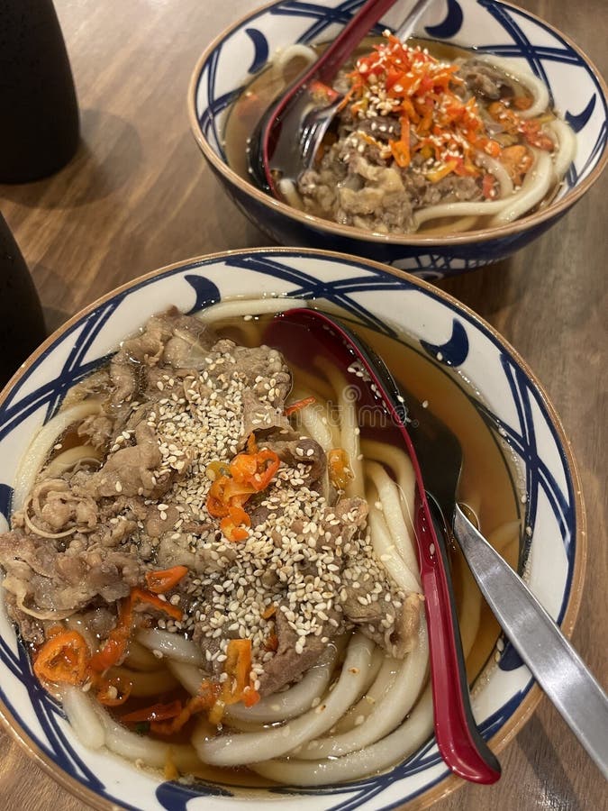 Lunch today with beloved stock image. Image of japaness - 328889519