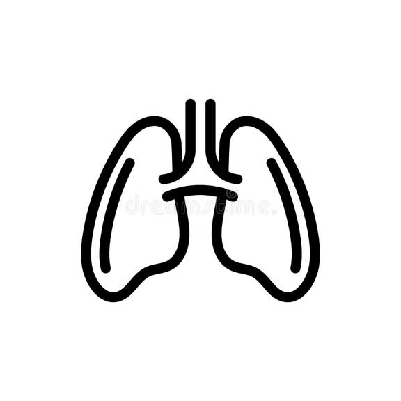 Lung line flat vector icon stock vector. Illustration of donor - 185162904