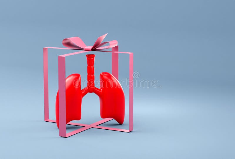 Lung in Empty Gift Box only Has Ribbon and Bow Stock Illustration ...