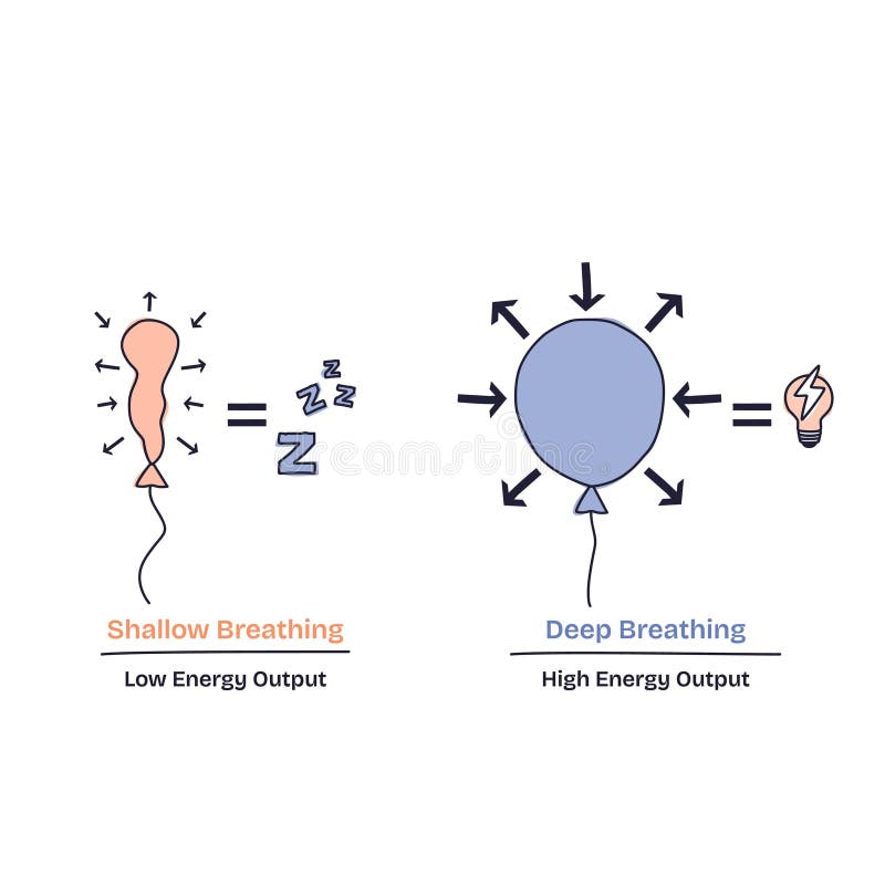 Lung Function is Shown by Comparing Shallow and Deep Breathing ...