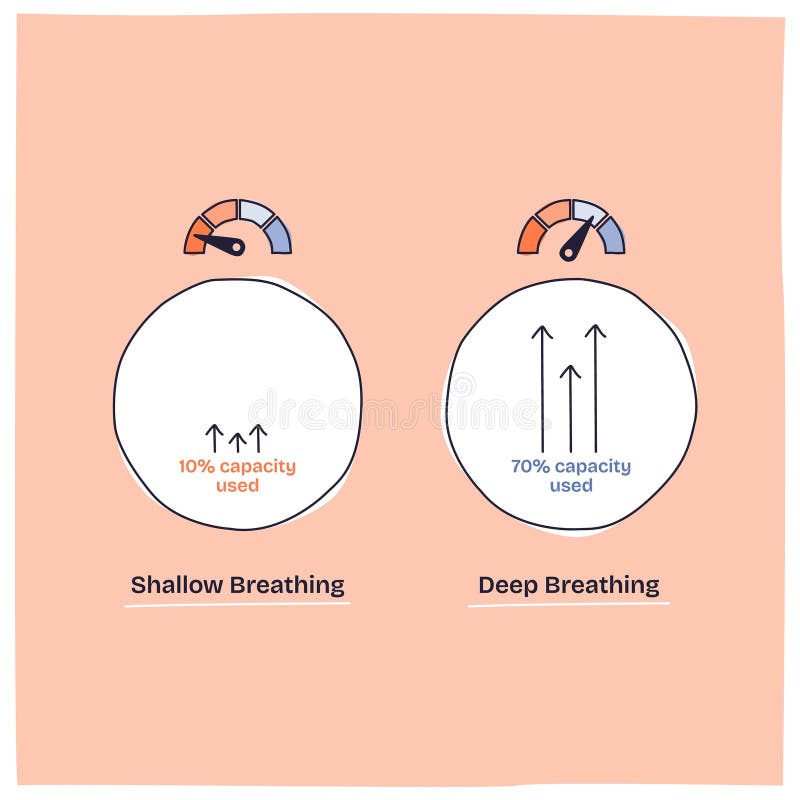 Lung Function is Shown by Comparing Shallow and Deep Breathing ...
