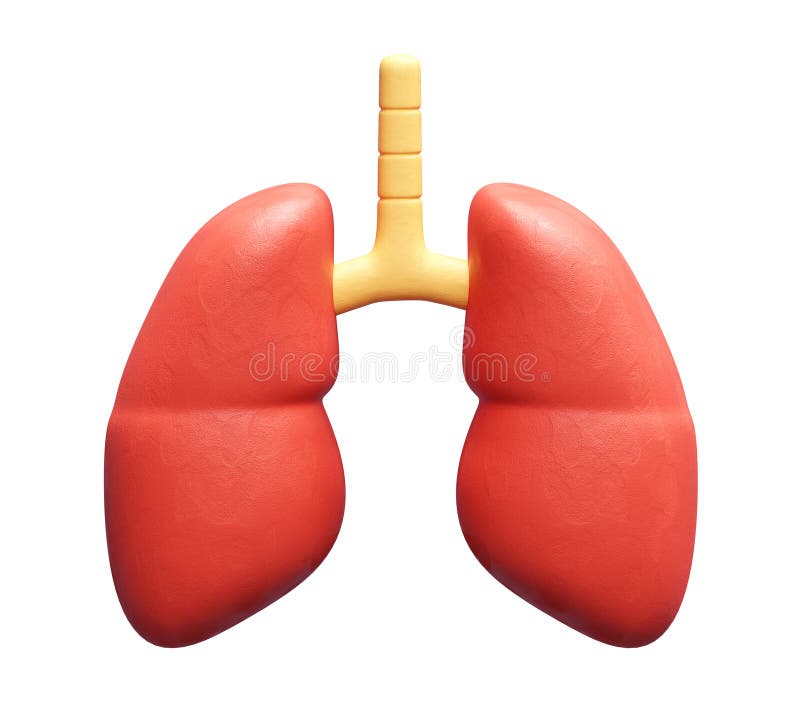 Lung Human Organs 3d Icon Illustration Stock Illustration ...
