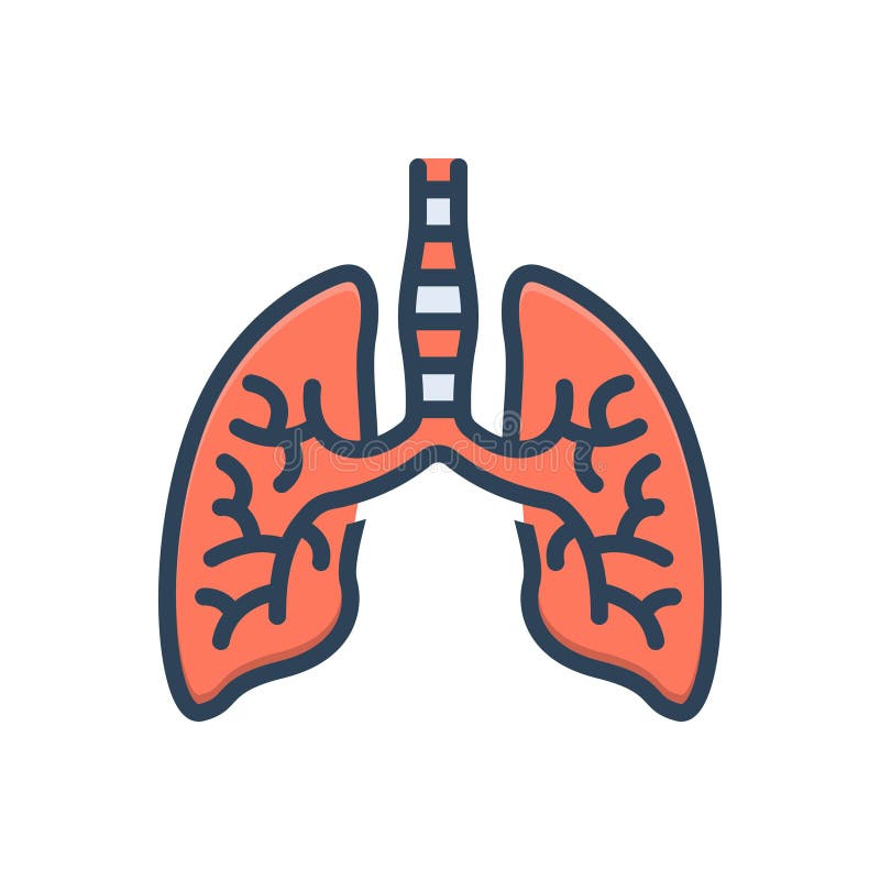 Color Illustration Icon for Lung, Lung Cancdisease and Health Stock ...
