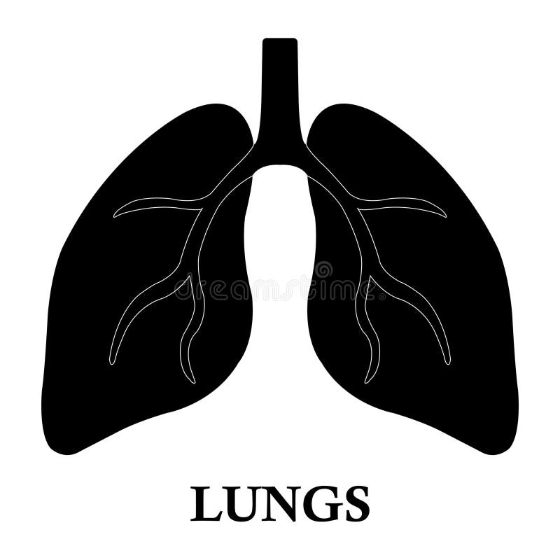 Lung icon stock vector. Illustration of lung, sign, flat - 298925992
