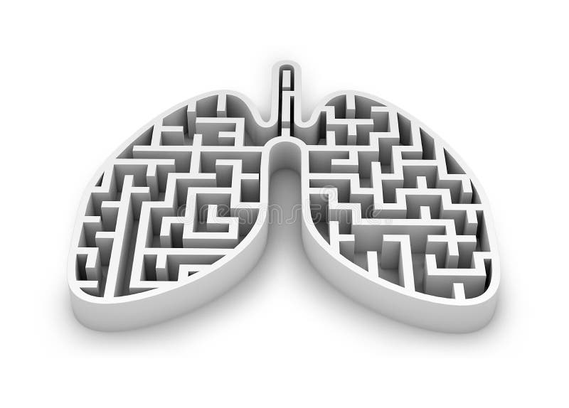 Stomach Puzzle Stock Illustrations – 61 Stomach Puzzle Stock ...