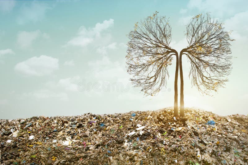 Mountains of Trash stock photo. Image of mountain, heaps - 49995612