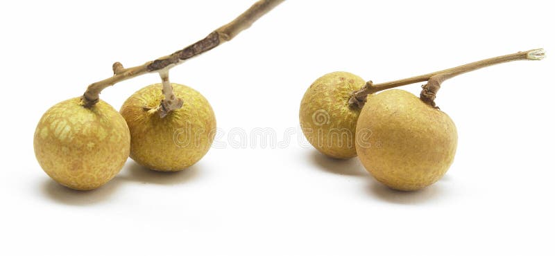 Lungan Fruit Isolated on White Background Stock Image - Image of white ...
