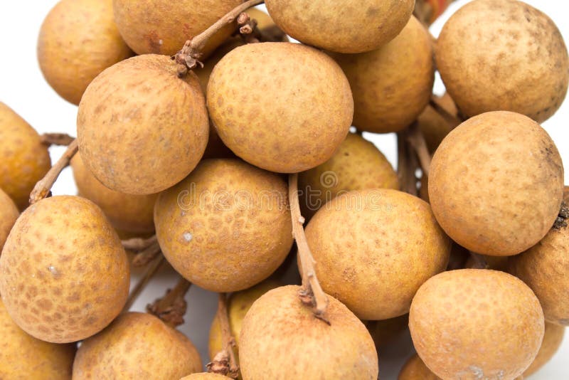 Longang Stock Photos - Free & Royalty-Free Stock Photos from Dreamstime