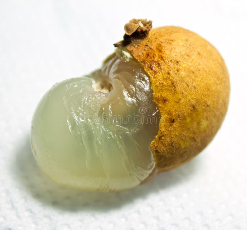 Lungan para comer foto de archivo. Imagen de bocado, agricultura - 27158688