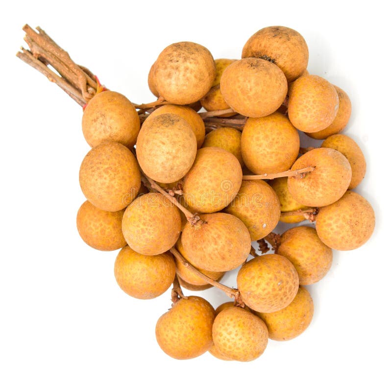 Longang Stock Photos - Free & Royalty-Free Stock Photos from Dreamstime