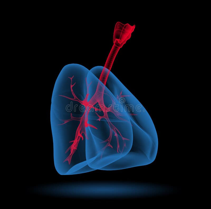 Lungor stock illustrationer. Illustration av vitt, svart - 31317265