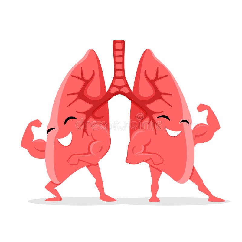 Healthy and strong lungs. stock vector. Illustration of organ - 196950956