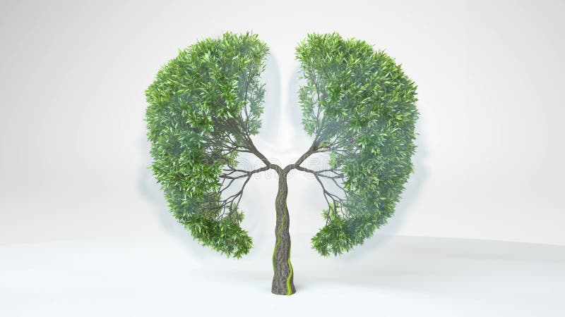 Lungs of the Earth. Tree in the Shape of Lungs Stock Illustration ...