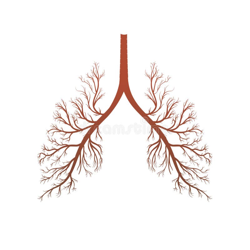 Lungs Icon Illustration Stock Vector Illustration Of Chest 136960847