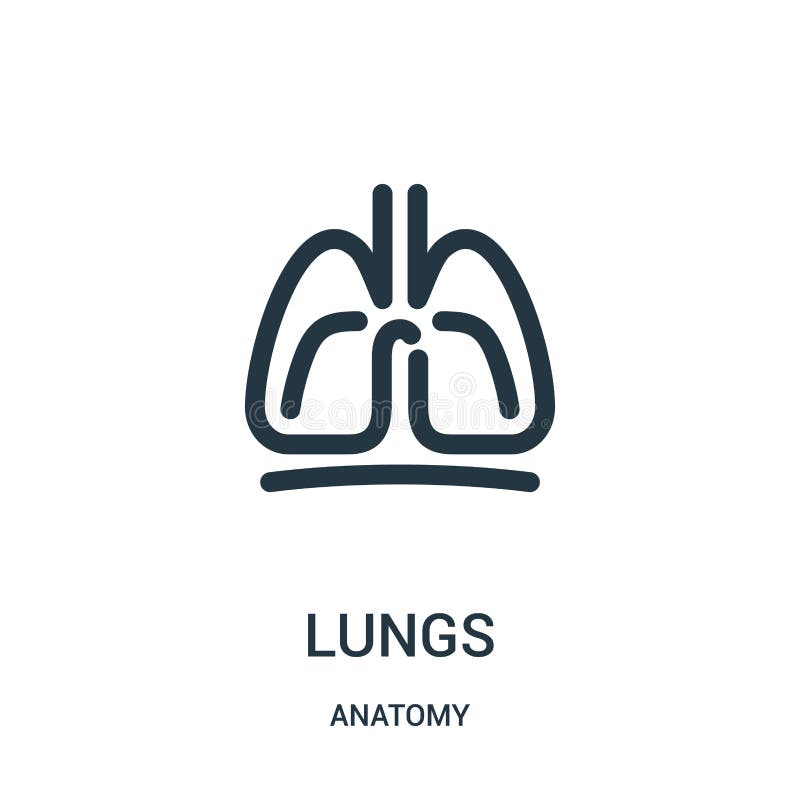 Lungs Shape in a Circle on a Human Body Icon Vector from Body Parts ...