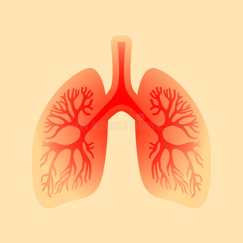 Lungs Inflammation Vector Icon Stock Vector - Illustration of ...