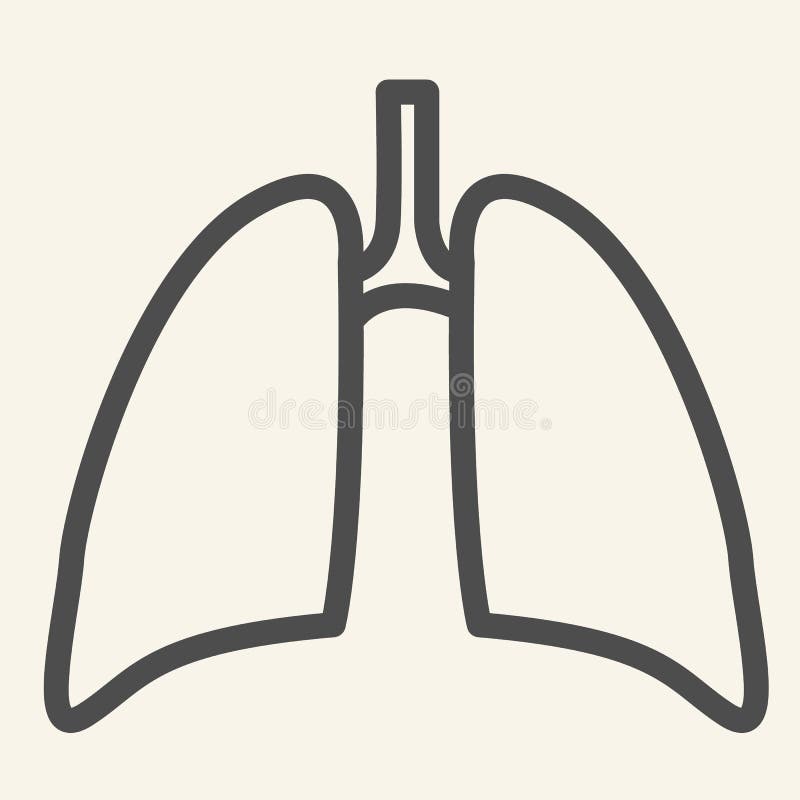 Lungs Organ Line And Solid Icon Healthy Human Detailed Anatomy Of