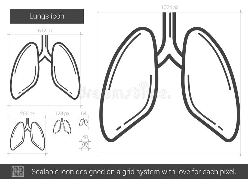 Lungs line icon. stock vector. Illustration of linear - 80695831