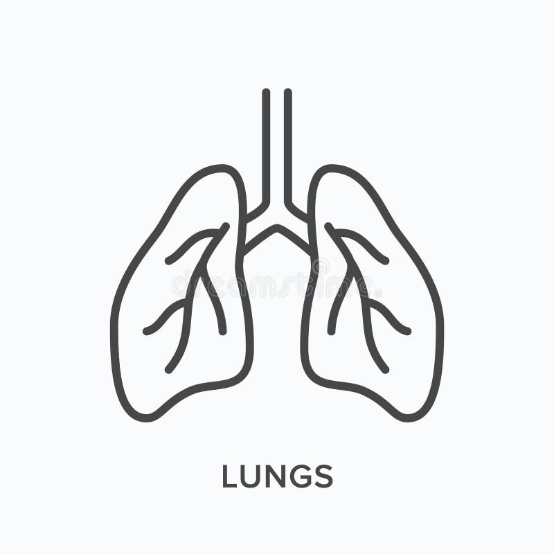 Lungs Line Icon Vector Outline Illustration Of Man Respiratory System