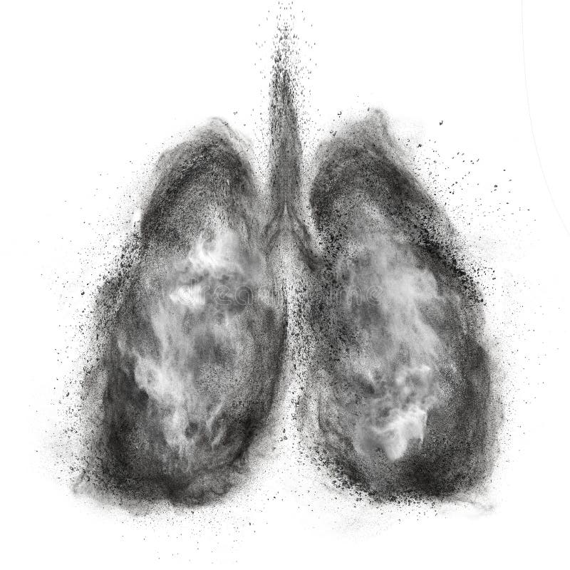 Lungs Made of Black Powder Explosion Isolated on White Stock Photo ...