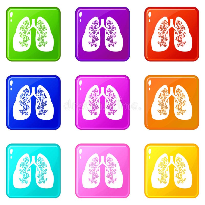 Lungs set 9 stock vector. Illustration of healthy, collection - 96575357