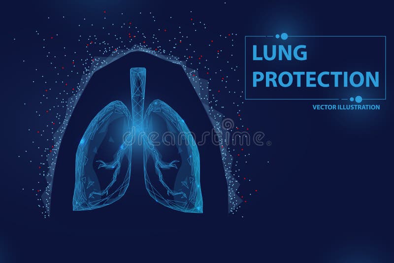 Lungs with Shield. Concept of Protection Lugs and Healthy Human Stock ...